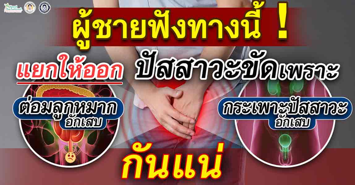 แยกให้ออก ปัสสาวะขัด เพราะต่อมลูกหมากอักเสบ หรือ กระเพาะปัสสาวะอักเสบ